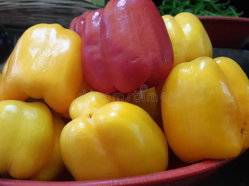 Yellow and Red Coloured Capsicums Stock Photo - Image of fresh ...