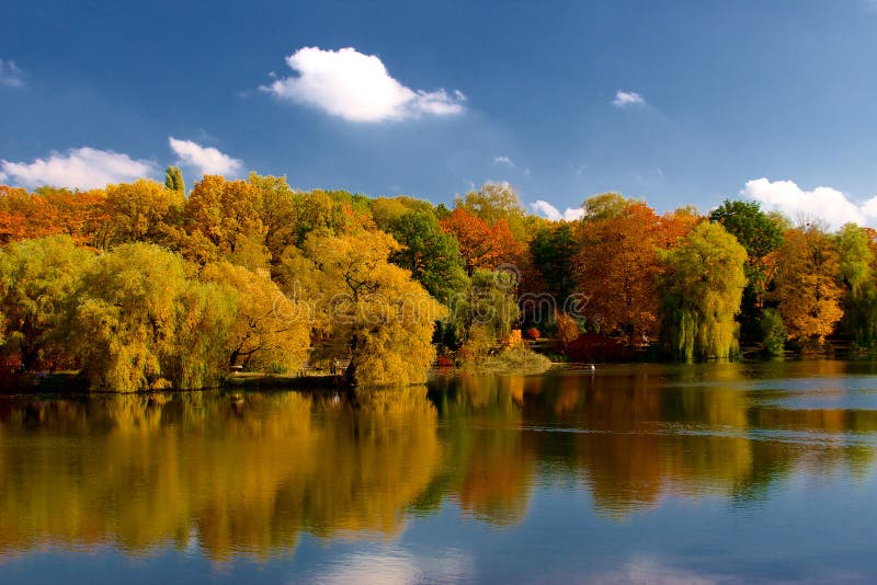 Yellow And Red Leafs On Trees In Autumn, October Stock Photo - Image of ...