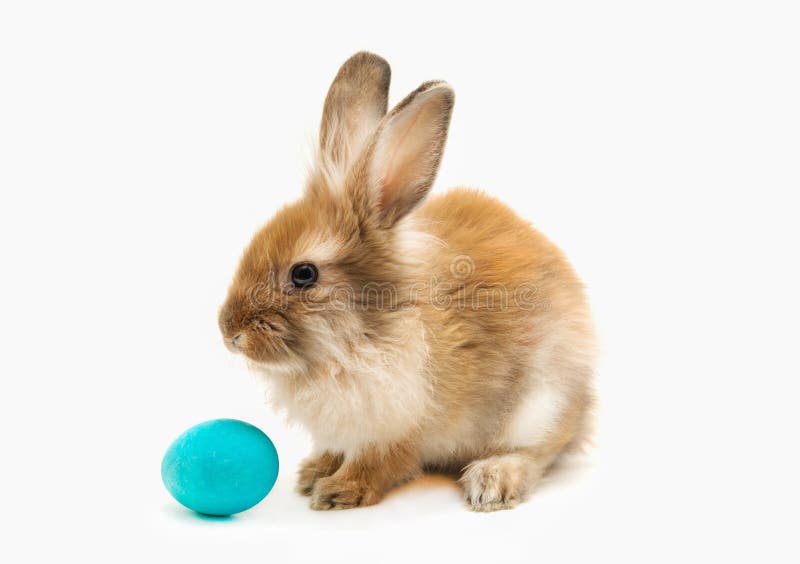 Yellow-red Rabbit and a Blue Easter Egg on a White Background. Isolated ...