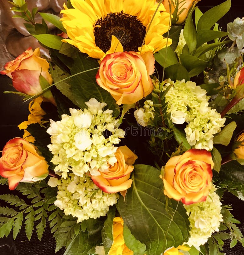 Roses and sunflowers stock photo. Image of mini, yellow - 132502726