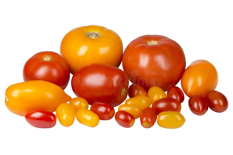 Yellow and Red Tomatoes of Different Varieties Stock Image - Image of ...