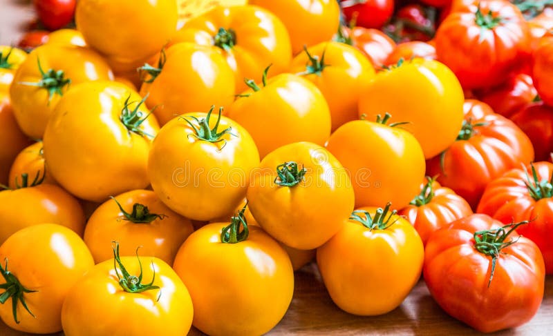 Yellow and Red Tomatoes stock image. Image of nature - 94443525