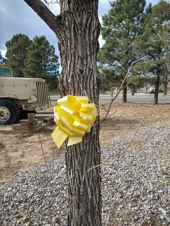 Yellow ribbon on a tree stock photo. Image of autumn - 211624430
