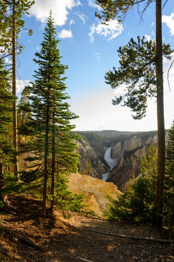 Yellow Ridge Lights before Sunset in Yellowstone Stock Image - Image of ...