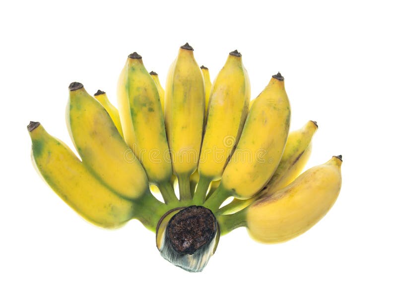 Yellow ripe banana stock photo. Image of healthy, clipping - 87241164