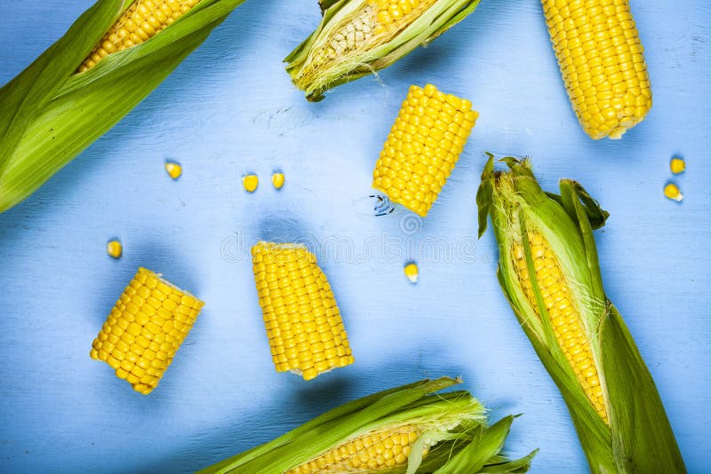 Yellow ripe corn, top view stock photo. Image of agriculture - 128226770