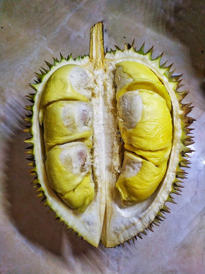 Yellow Ripe Durian Fruit To Eat Stock Image - Image of green, produce ...