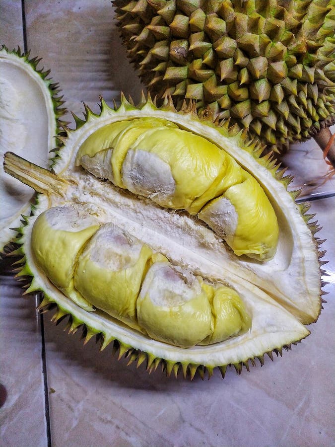 Yellow Ripe Durian Fruit To Eat Stock Photo - Image of cuisine, food ...