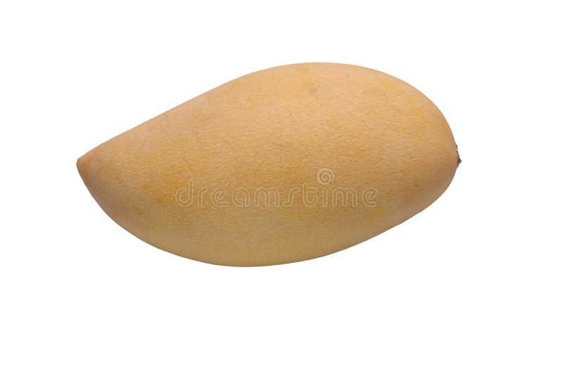 The Yellow Ripe Mango on a White Background Stock Photo - Image of ...