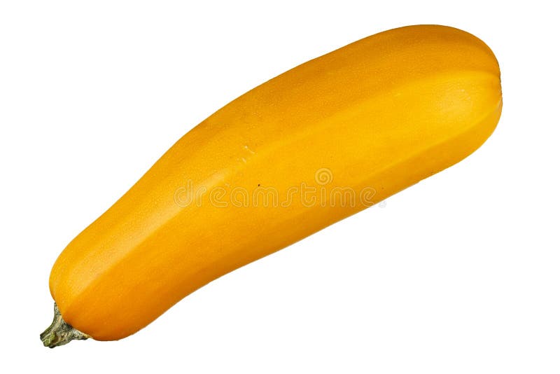 Yellow Ripe Vegetable Marrow Isolated on White Background Stock Image ...