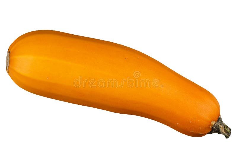 Yellow Ripe Vegetable Marrow Isolated on White Background Stock Photo ...