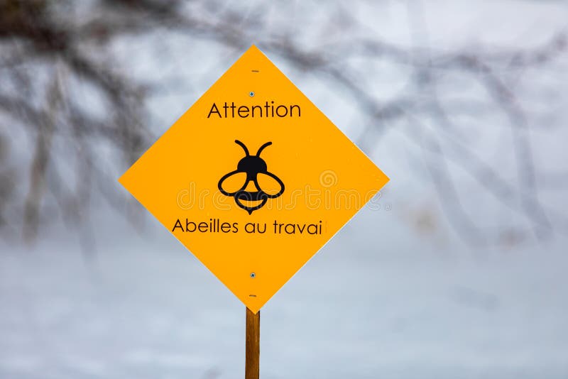 207 Bee Road Sign Stock Photos - Free & Royalty-Free Stock Photos from ...