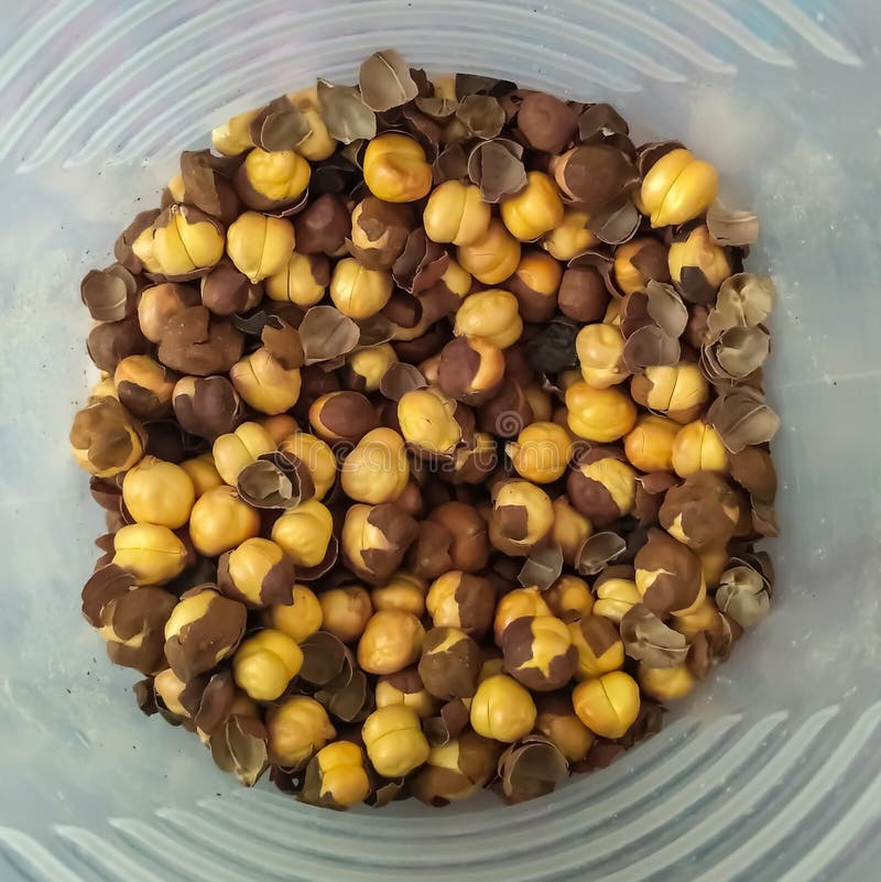 Yellow roasted gram stock photo. Image of gram, roasted - 183623126