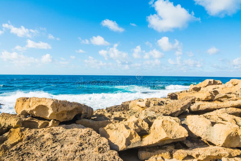 Yellow on the Rocks stock image. Image of flowers, orange - 203076591