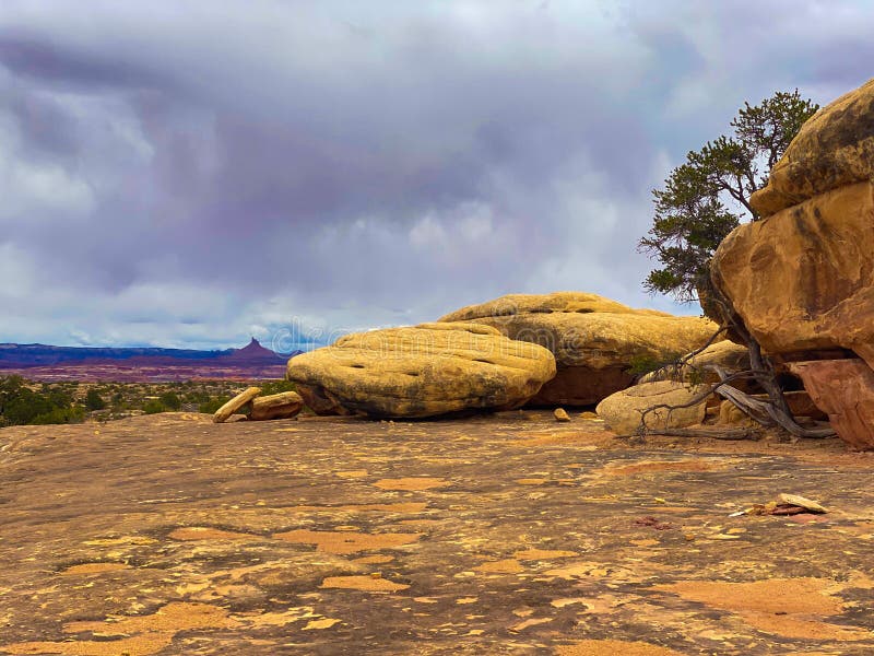 Yellow Rocky Dessert with Plants Under a Cloudy Sky Stock Photo - Image ...