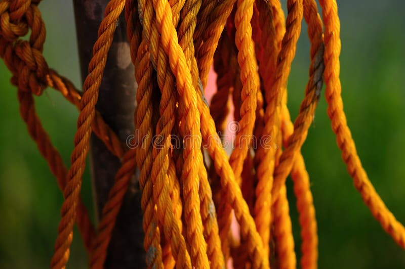 Yellow rope stock image. Image of nylon, rope, yellow - 34313517