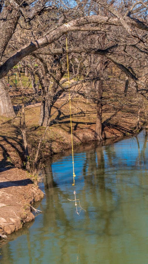 Yellow Rope Swing on a Tree Growing Over the Water on a River Stock ...
