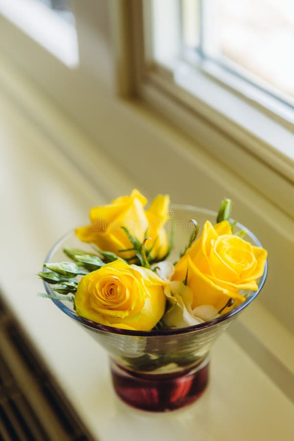 Yellow Rose stock photo. Image of arrangement, bouquet - 37180002