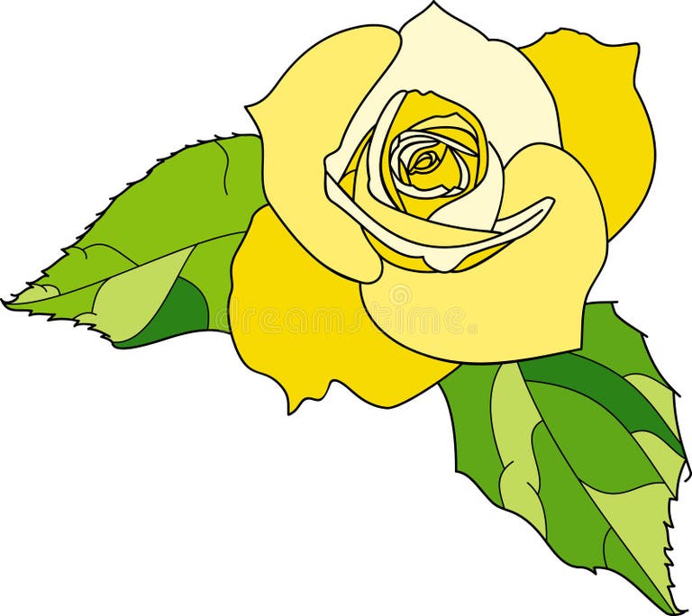 Yellow rose stock vector. Illustration of isolated, gift - 8193370