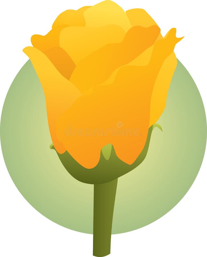 Yellow Rose Flower Illustration Stock Illustration - Illustration of ...