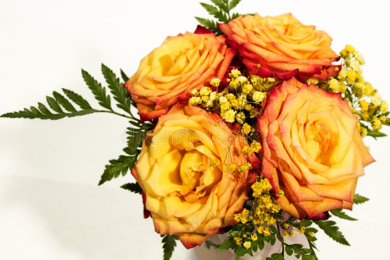 Yellow Rose Flowers Arrangement Isolated on White Stock Photo - Image ...