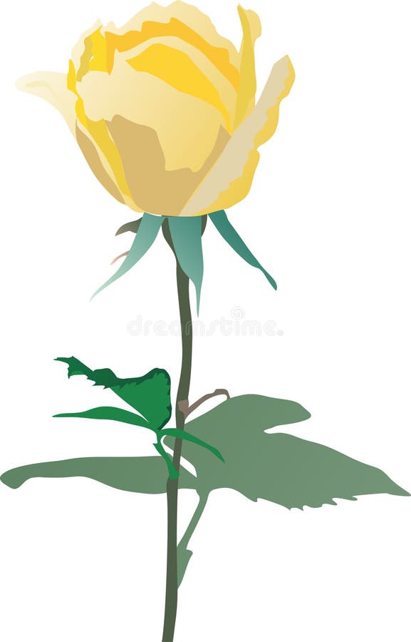 Yellow Rose Stock Illustrations – 87,454 Yellow Rose Stock ...