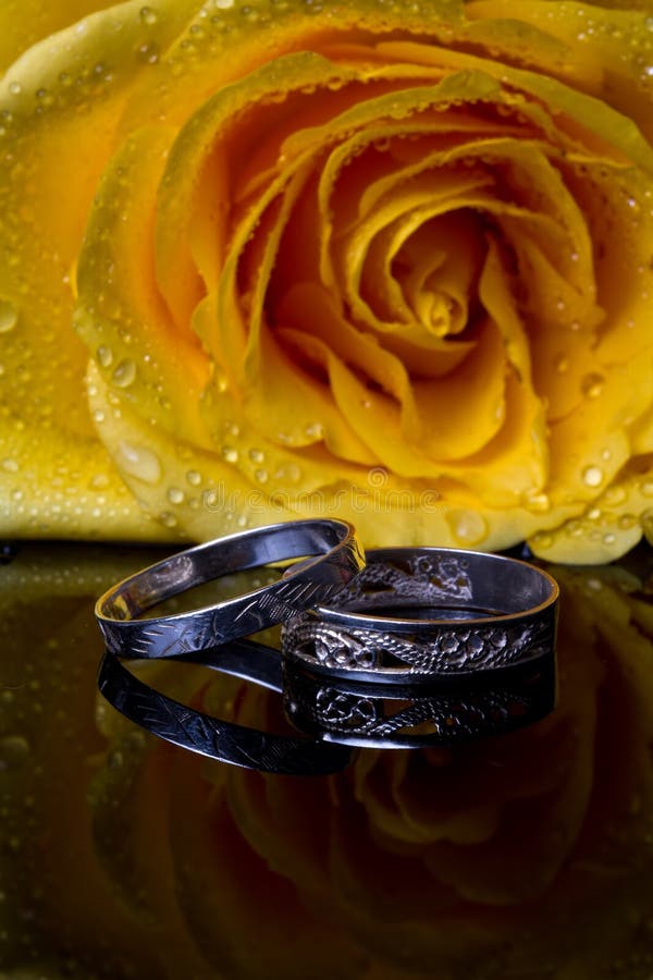 Yellow rose with ring stock image. Image of gold, bloom - 30105411