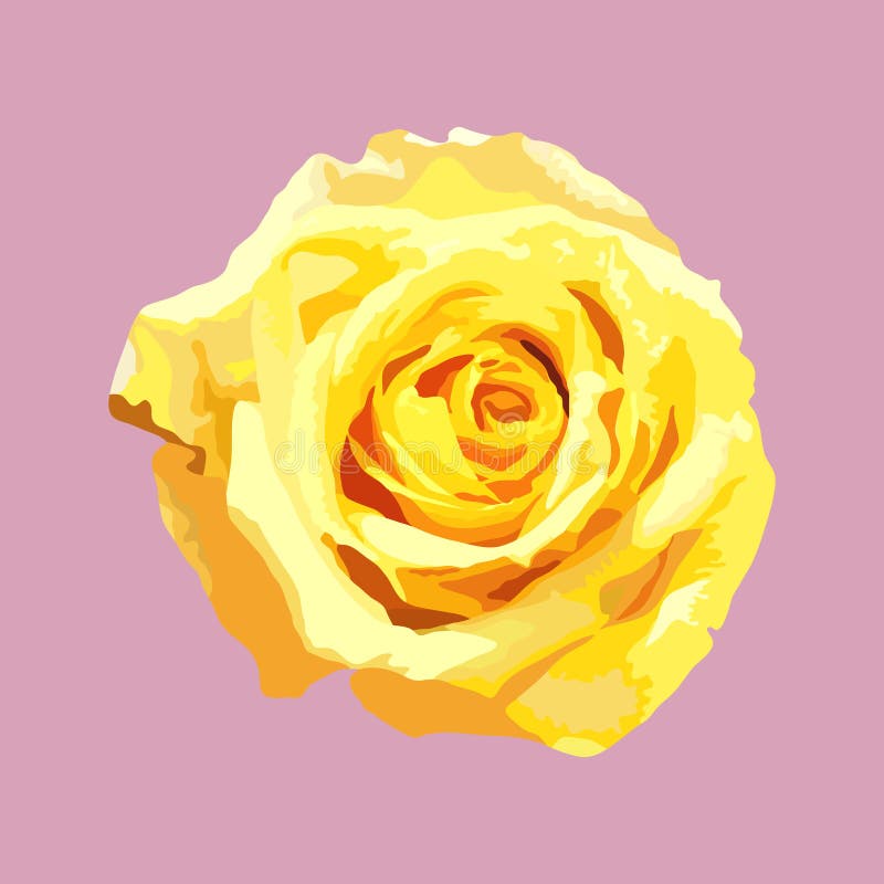 Yellow Rose Vector Illustration, Isolated Flower, Natural Stock Vector ...