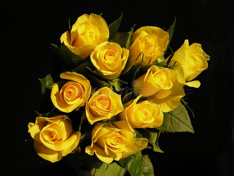 Black and Yellow Striped Fabric Stock Photo - Image of fabric, yellow ...