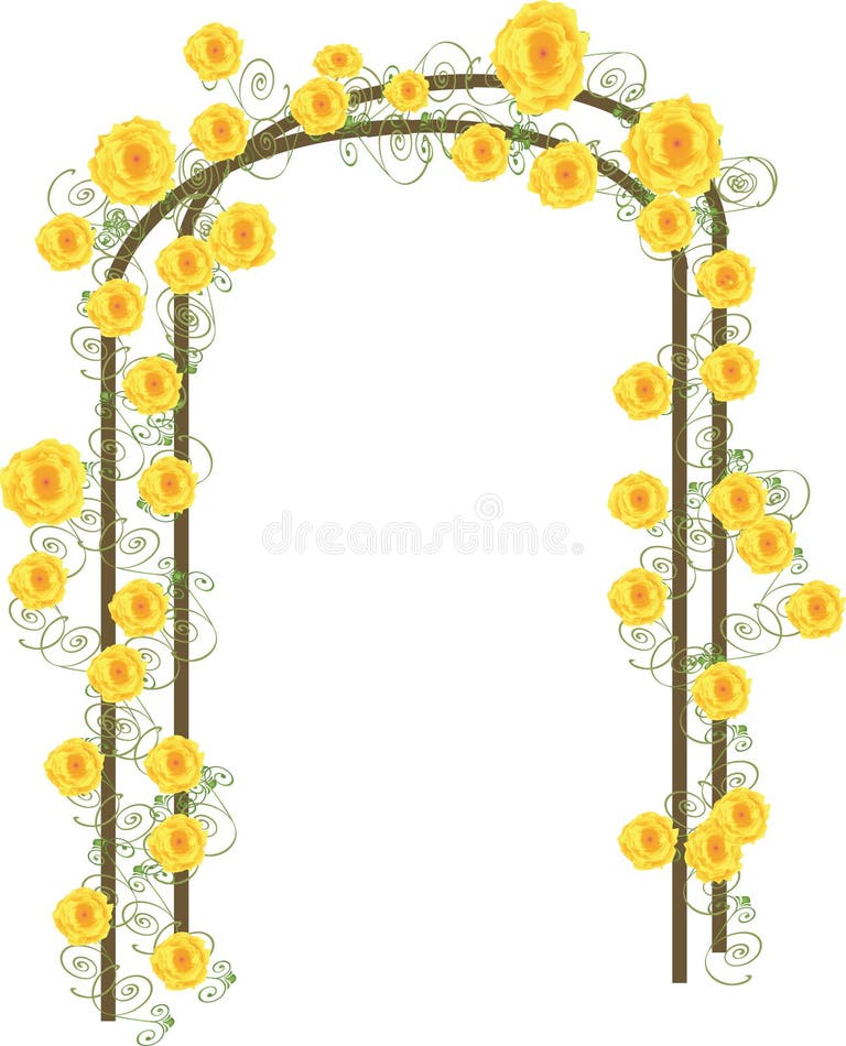 Yellow Roses Drawing Stock Illustrations – 11,349 Yellow Roses Drawing ...