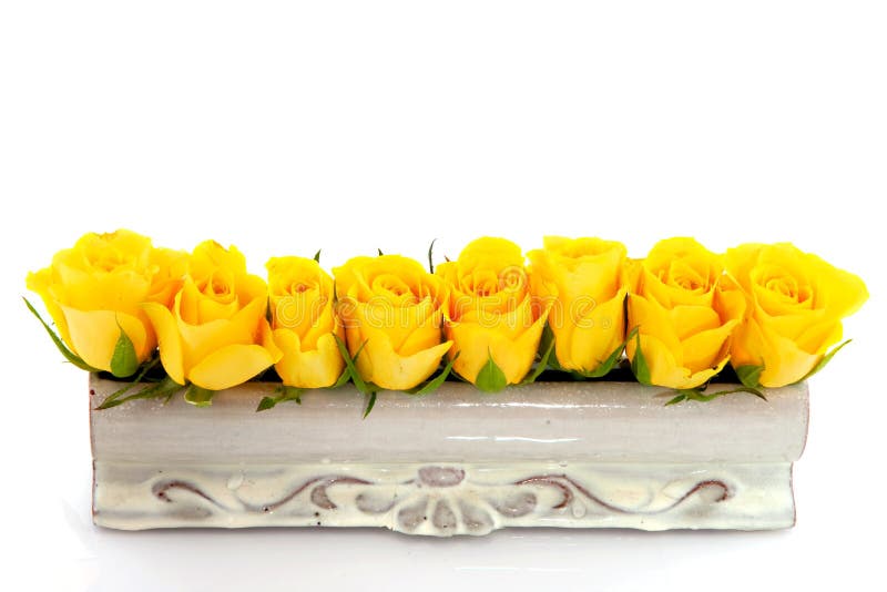Yellow roses stock image. Image of short, table, roses - 9785245