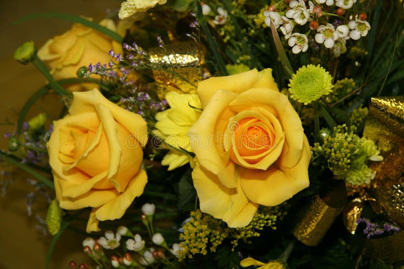 Yellow roses stock image. Image of gift, flowers, yellow - 990677