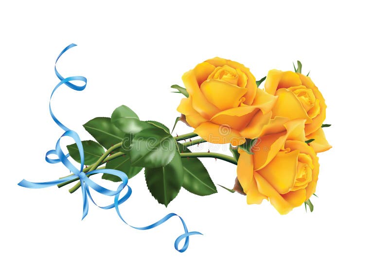Yellow Roses with the Blue Ribbon Stock Vector - Illustration of flora ...