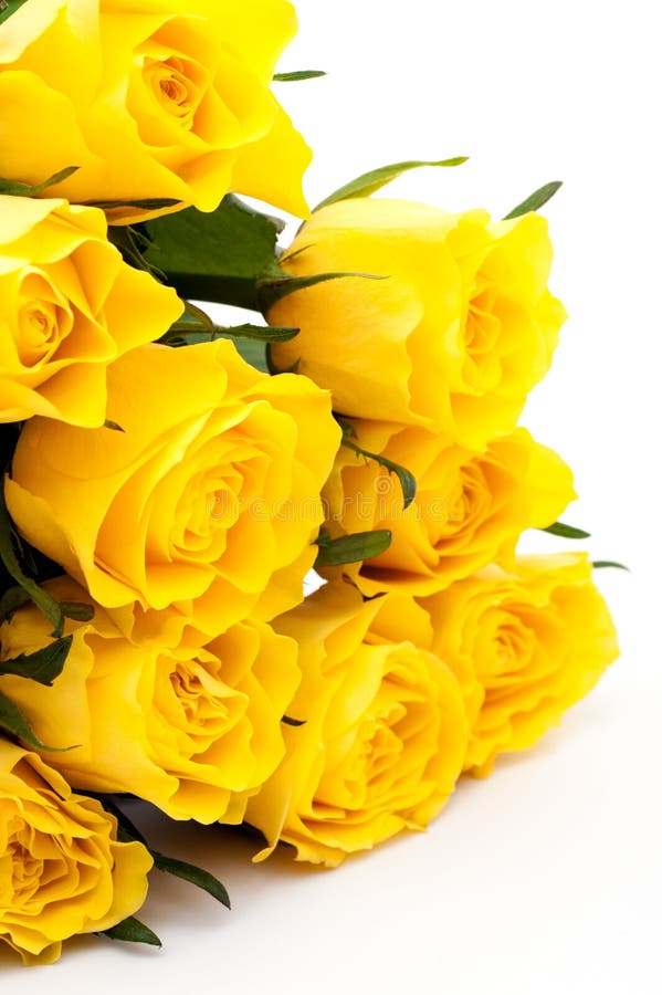 Pastel Yellow Roses with Droplets Background Stock Image - Image of ...