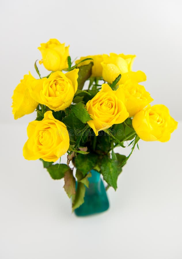 Yellow roses stock image. Image of lovers, nature, feeling - 67982841