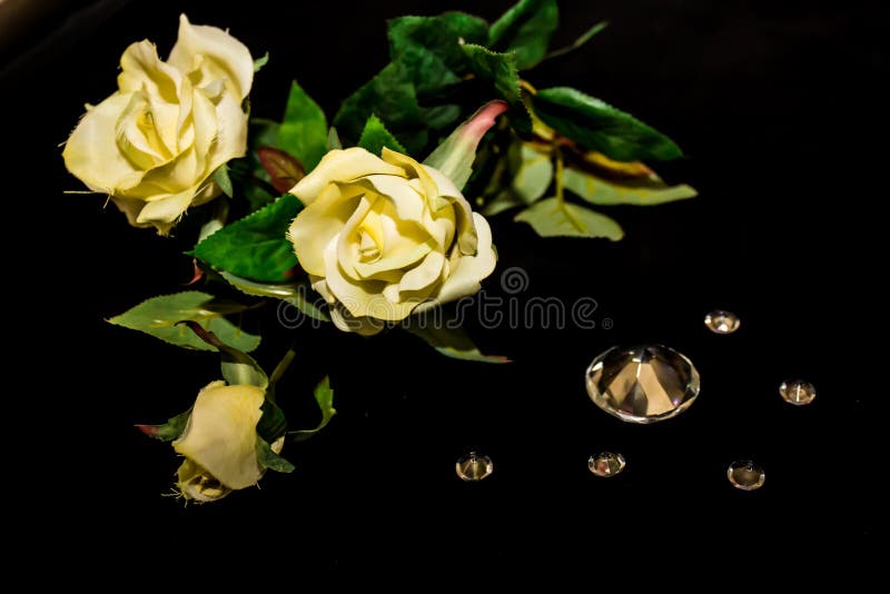 Yellow Roses & Cut Diamonds on Black Background Stock Image - Image of ...