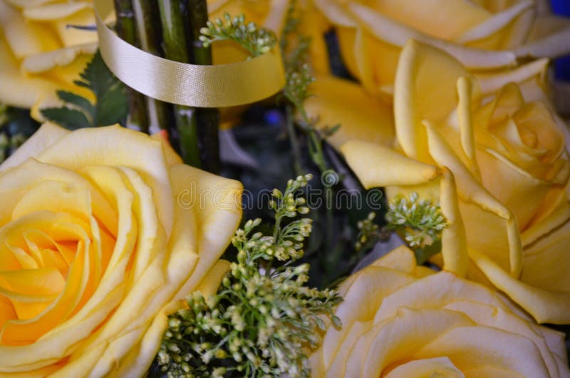 Yellow Roses - Flower Arrangement Stock Photo - Image of arrangement ...