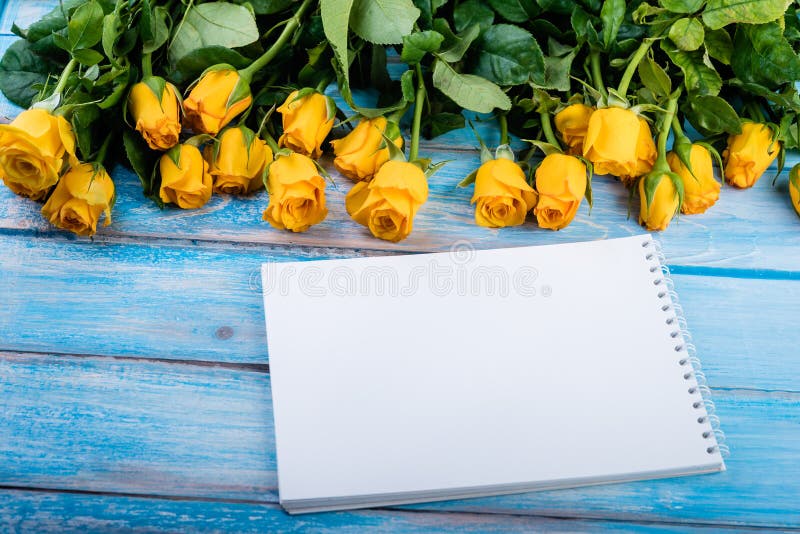 Yellow roses and paper stock photo. Image of holiday - 76252084