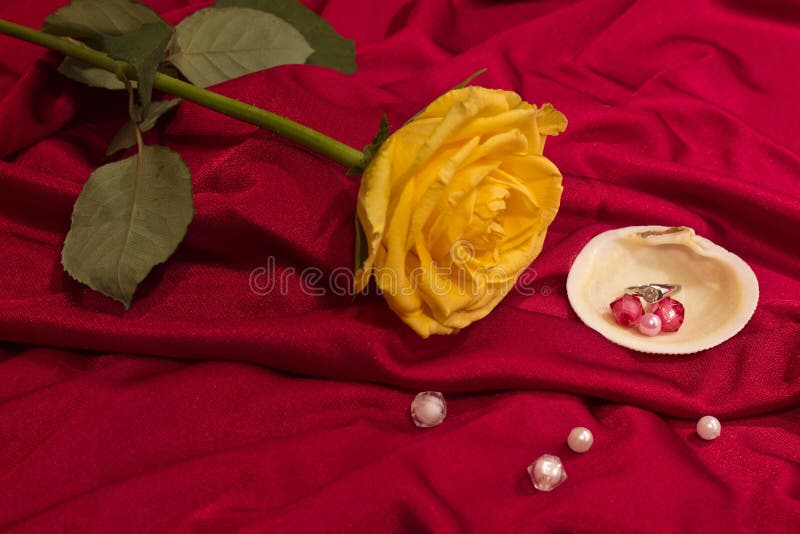 Yellow Roses with a Shell, Pearls and Ring Stock Image - Image of ...