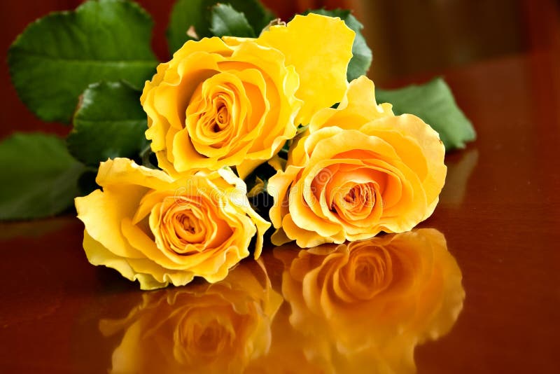 Yellow roses on table stock photo. Image of table, love - 6768854