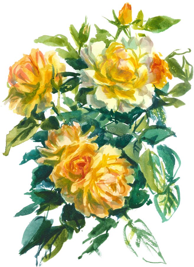 Yellow roses stock illustration. Illustration of stem - 58746936