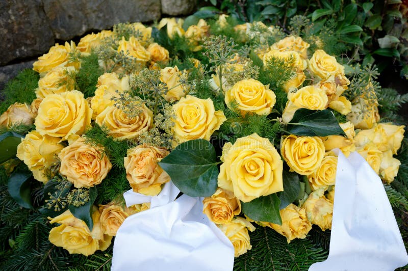 Yellow Roses with White Mourning Bow Stock Photo - Image of pastel ...