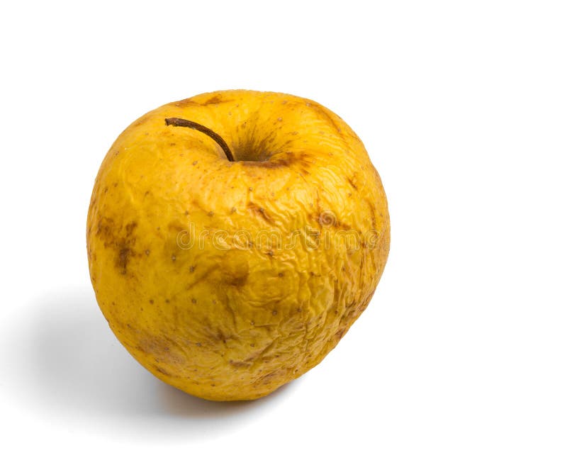 Yellow Rotten Old Oak Leaf on Basalt Stone in Cold Blurred Water of ...