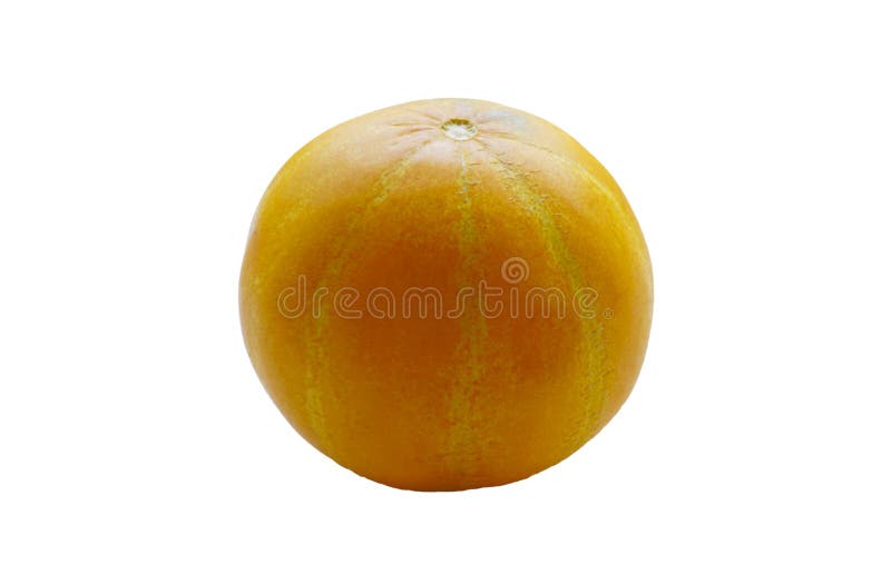 120 Small Yellow Muskmelon Stock Photos - Free & Royalty-Free Stock ...