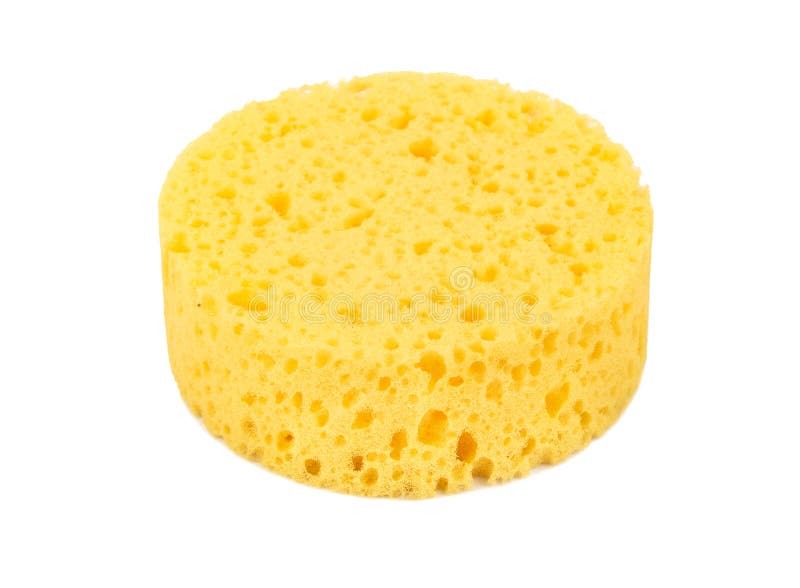 Yellow round sponge stock photo. Image of round, accessory - 134851792