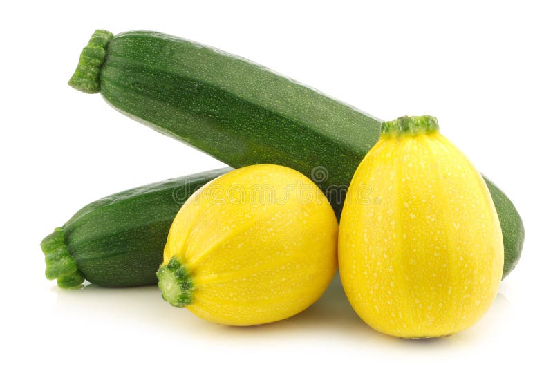 Mini Zucchini Ball Eight Ball Squash Courgette Stock Image - Image of ...