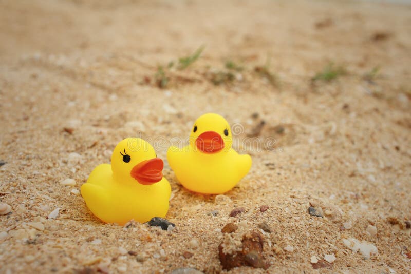 Yellow Rubber Duck on Background of Sand. Stock Image - Image of kids ...