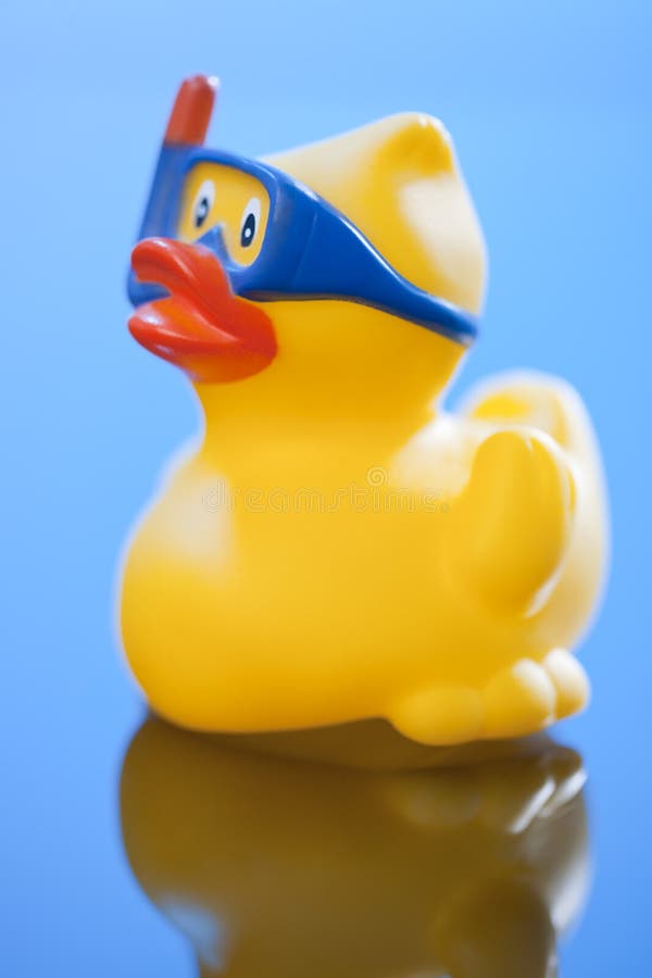 Yellow Rubber Duck, Close-up Stock Photo - Image of duck, rubber: 50493624