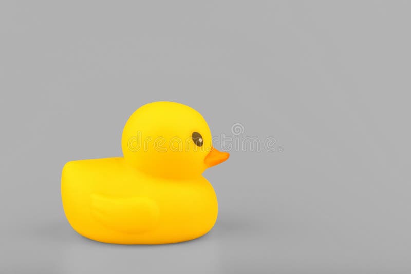Yellow Rubber Duck on Grey Background Stock Photo - Image of bathroom ...