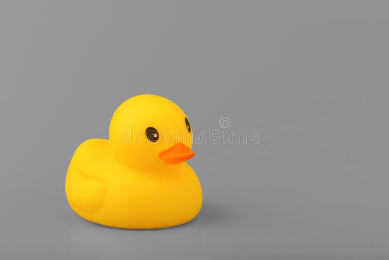 Yellow Rubber Duck on Grey Background Stock Photo - Image of pool ...
